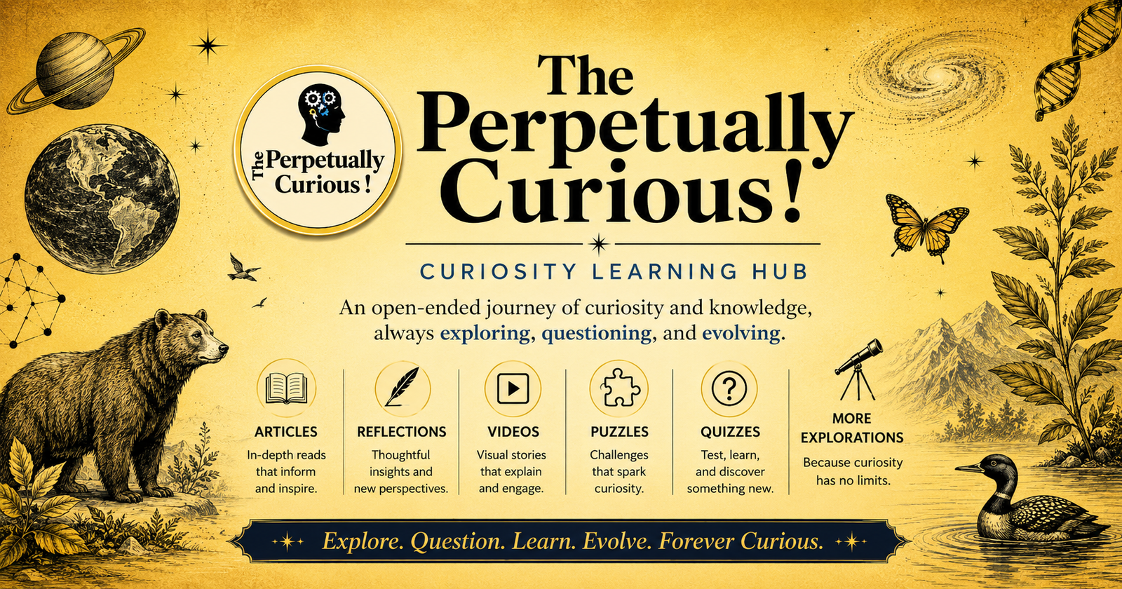 Environment and Sustainability 🌱 | The Perpetually Curious!